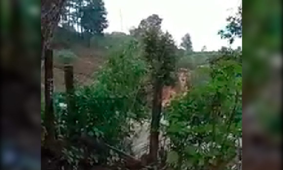 Reportan Enfrentamiento En Coyuca De Catalán En La Región Tierra